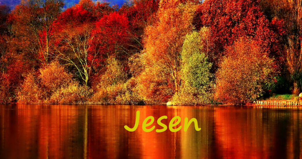 JESEN U BALANSU – TARA holistički atelje